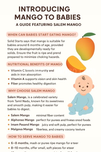 Introducing Mango to Babies | toddler | Solid fruit mango | Alphonso