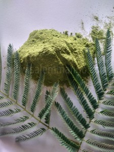 100% Pure Natural Herbal Hair wash - Arappu powder | Benefits | Uses