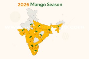 Mangoes Season in India 2026 | Everything You Need to Know about Mangoes