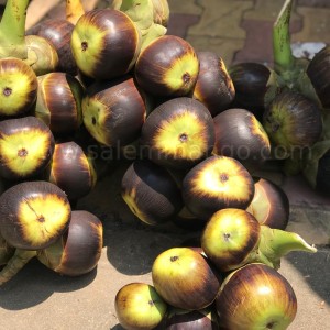Ice Apple fruit online | Tadgola | Nungu | Bangalore | Delhi | Hyderabad