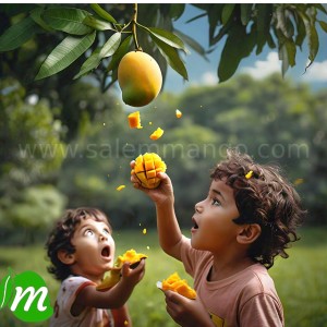 Mango for Babies - Can Babies Eat Mangoes? | Benefits | Facts