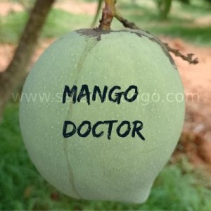 Mango doctor complete guider for mango cultivation | Mango farming | Farmer