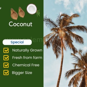 Fresh Coconut 100% Organic online | Bangalore|1 Pc at the best price