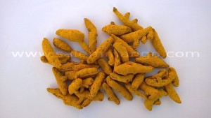 Salem Haldi | Salem Turmeric powder online | Direct from Farmers